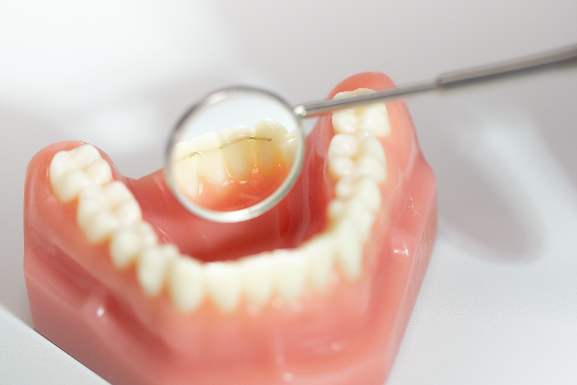Retainer - Dr. Eva Maria Moll